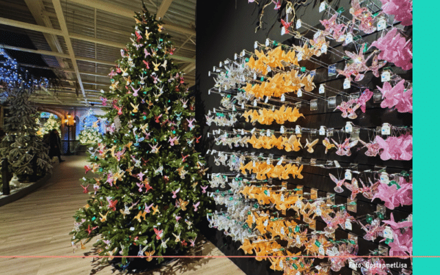 Op bezoek bij de Kerstshow van Intratuin Duiven - OpstapmetLisa